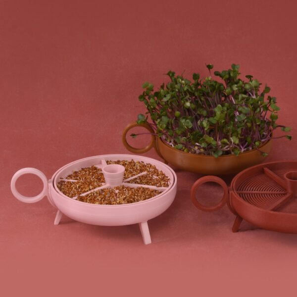 Sprouting planter – Studio Harm en Elke